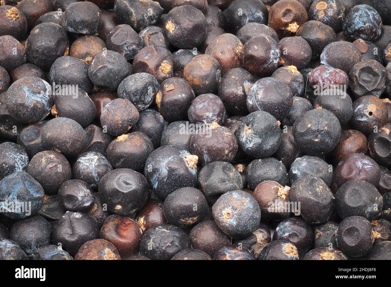 Full frame juniper hi-res stock photography and images - Alamy