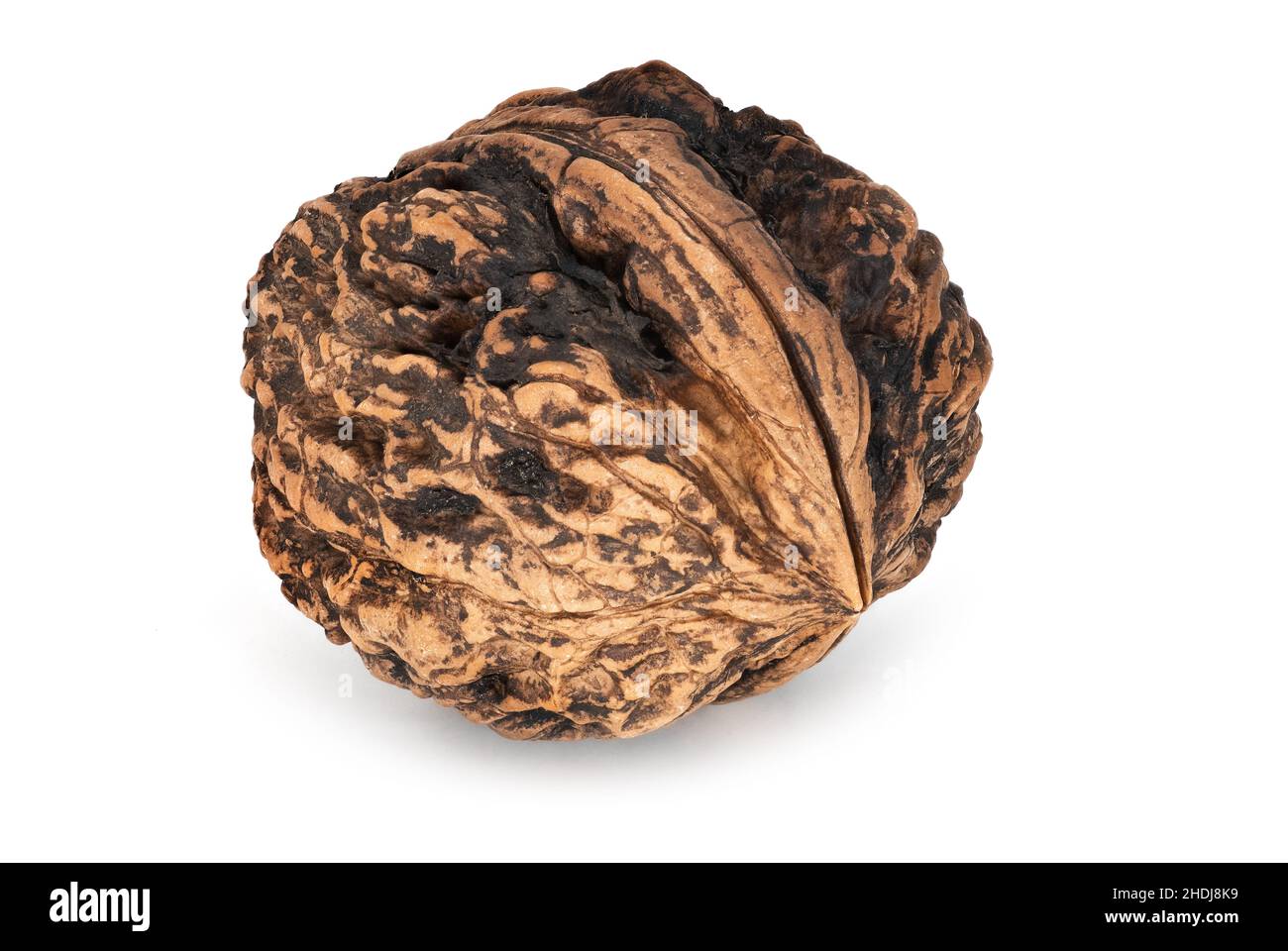 texture, peel, walnut, textures, peels, walnuts Stock Photo - Alamy