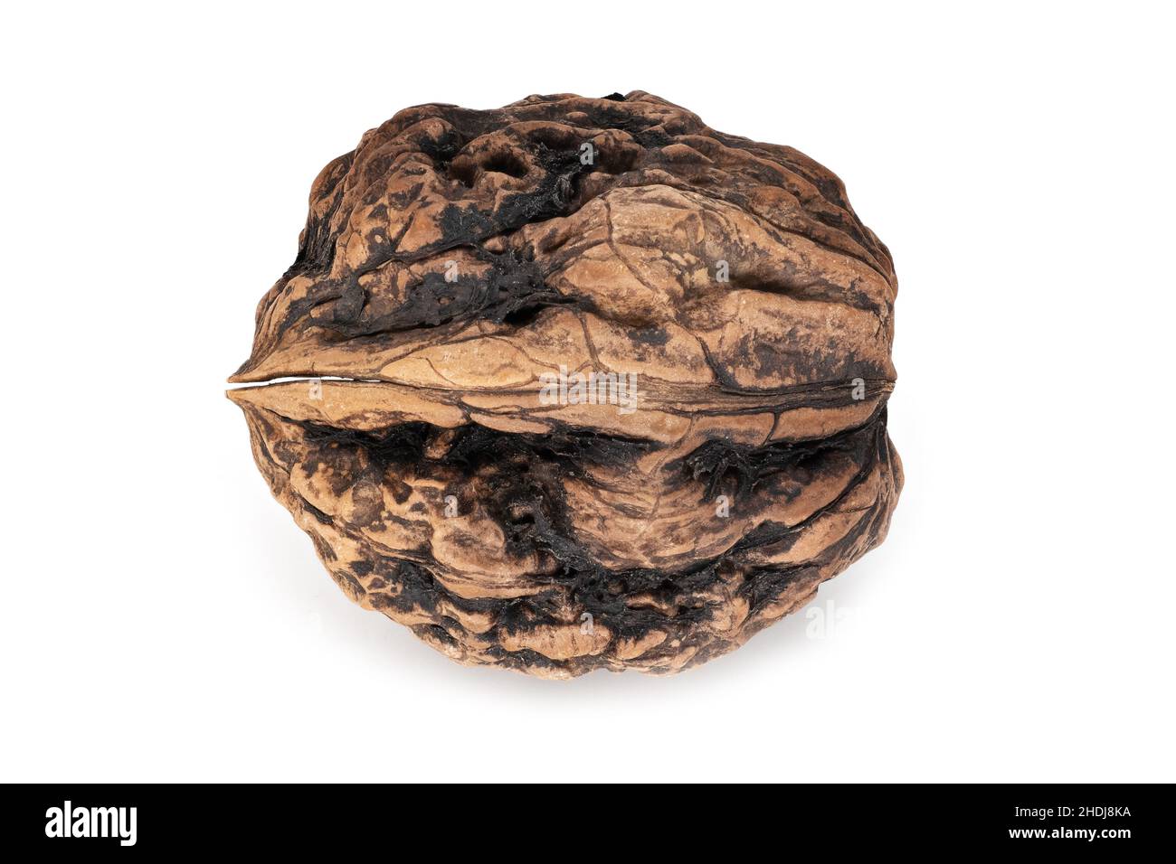 nut, peel, walnut, nuts, peels, walnuts Stock Photo - Alamy