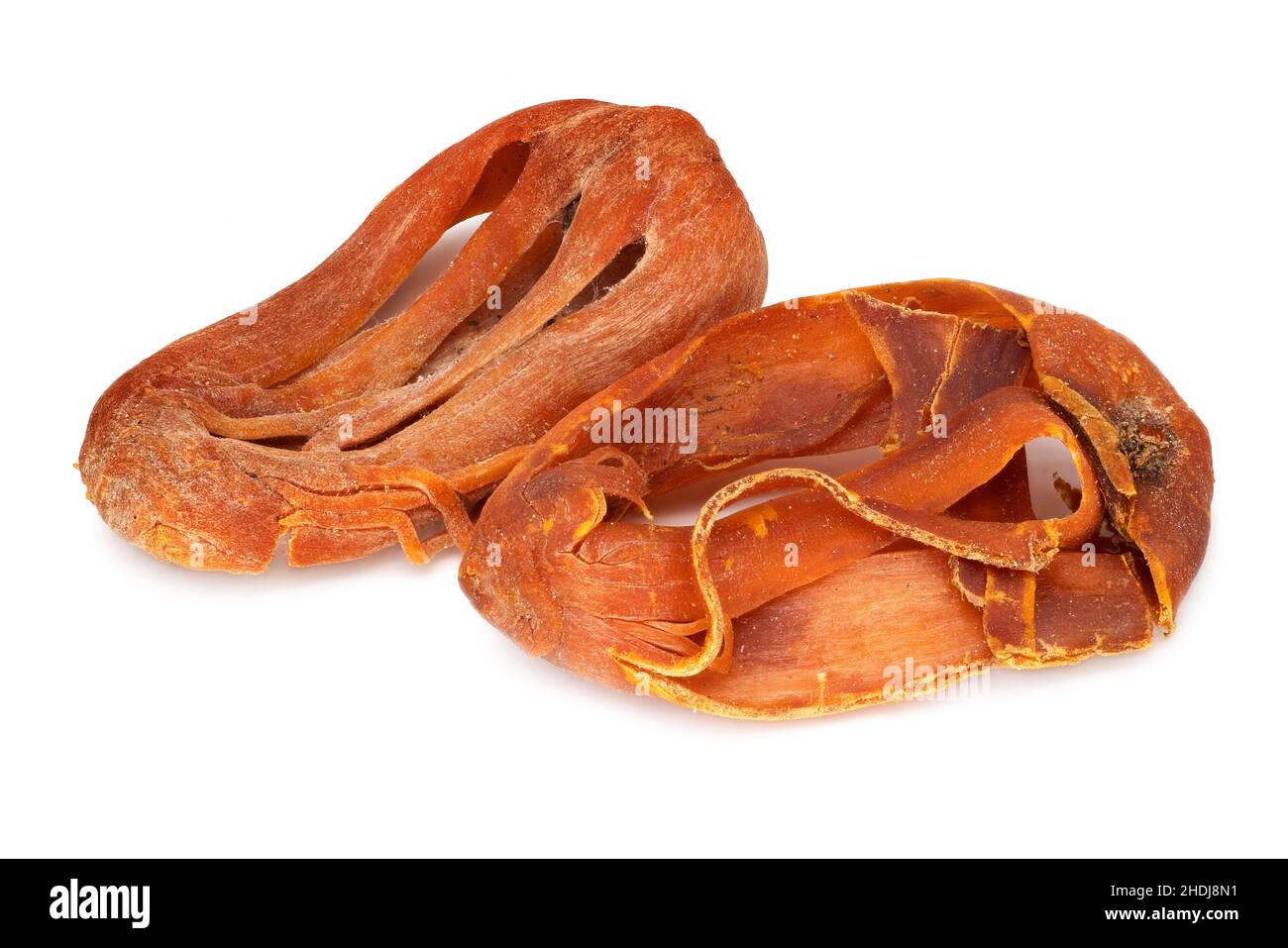 Seed casing hi-res stock photography and images - Alamy