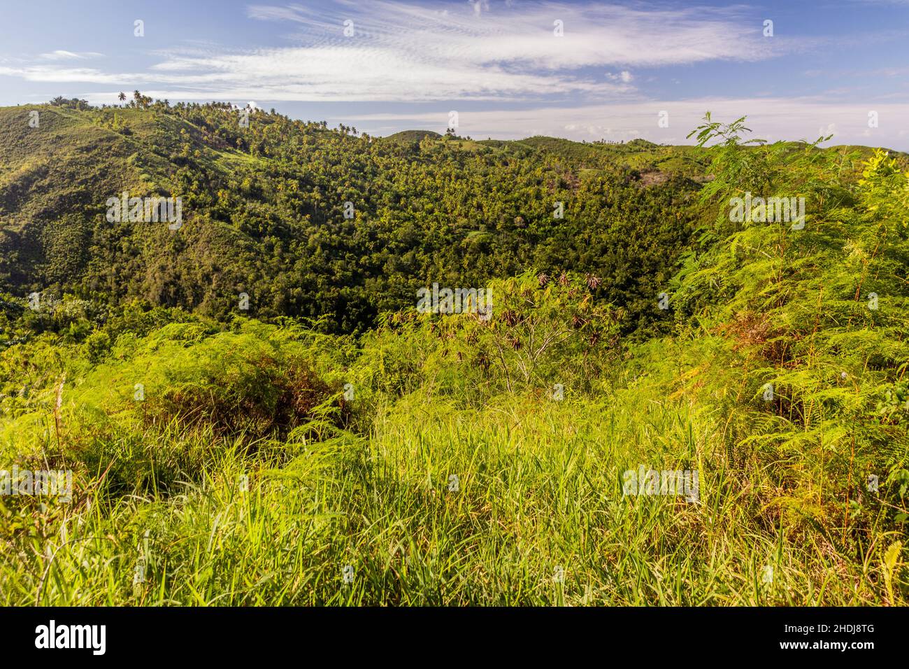 Landscape of Samana peninsula, Dominican Republic Stock Photo - Alamy