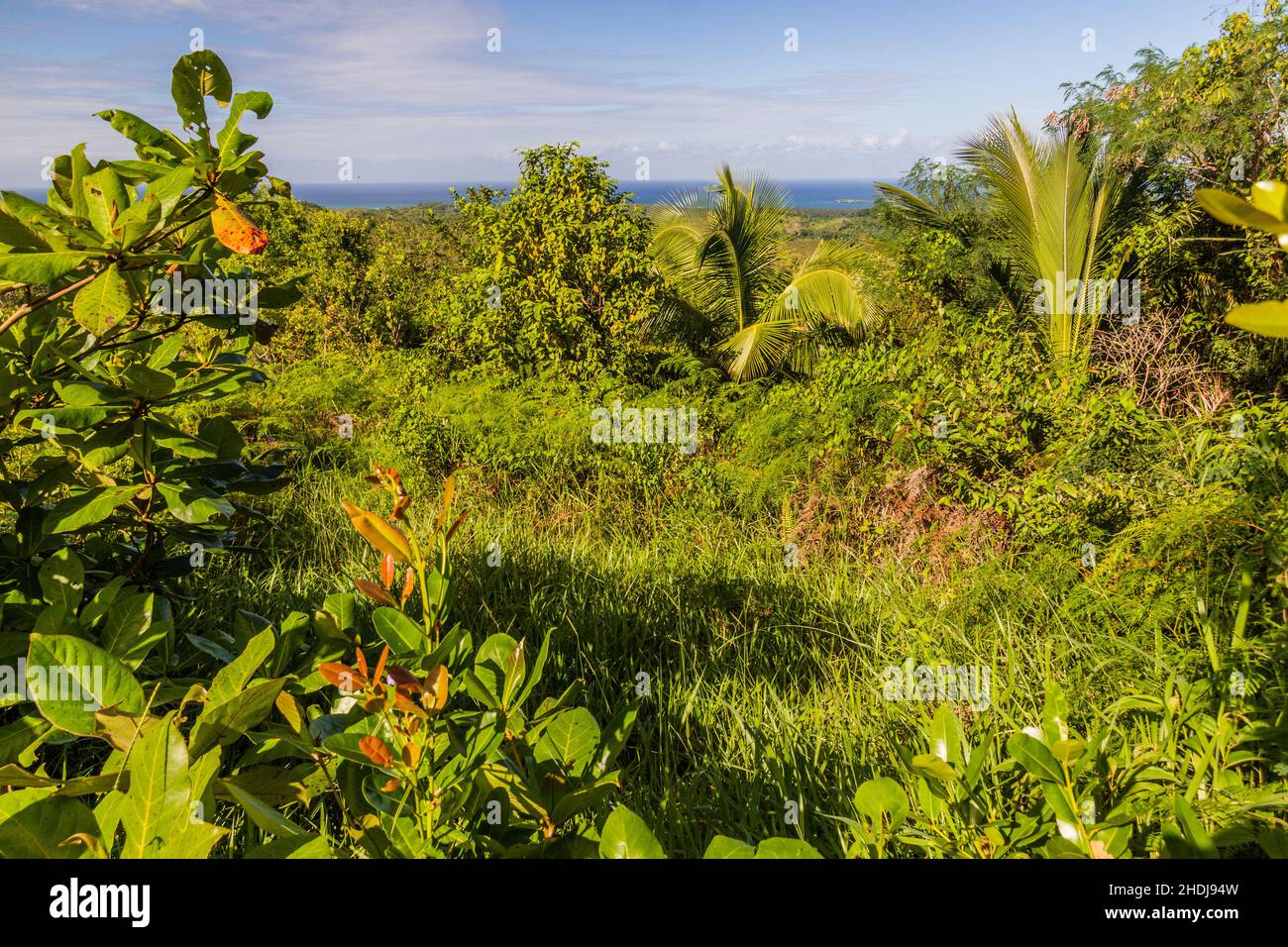 Landscape of Samana peninsula, Dominican Republic Stock Photo - Alamy