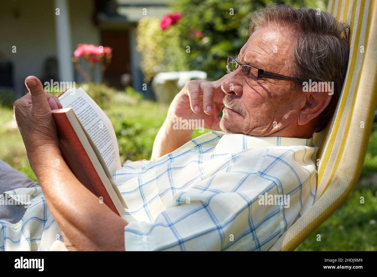 senior, book, reading, elderly, old, seniors, books, read, reading a ...
