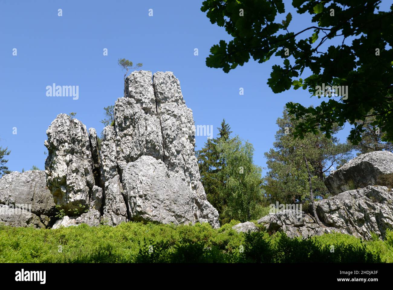 bavarian forest, rock climbing, bavarian forests Stock Photo - Alamy