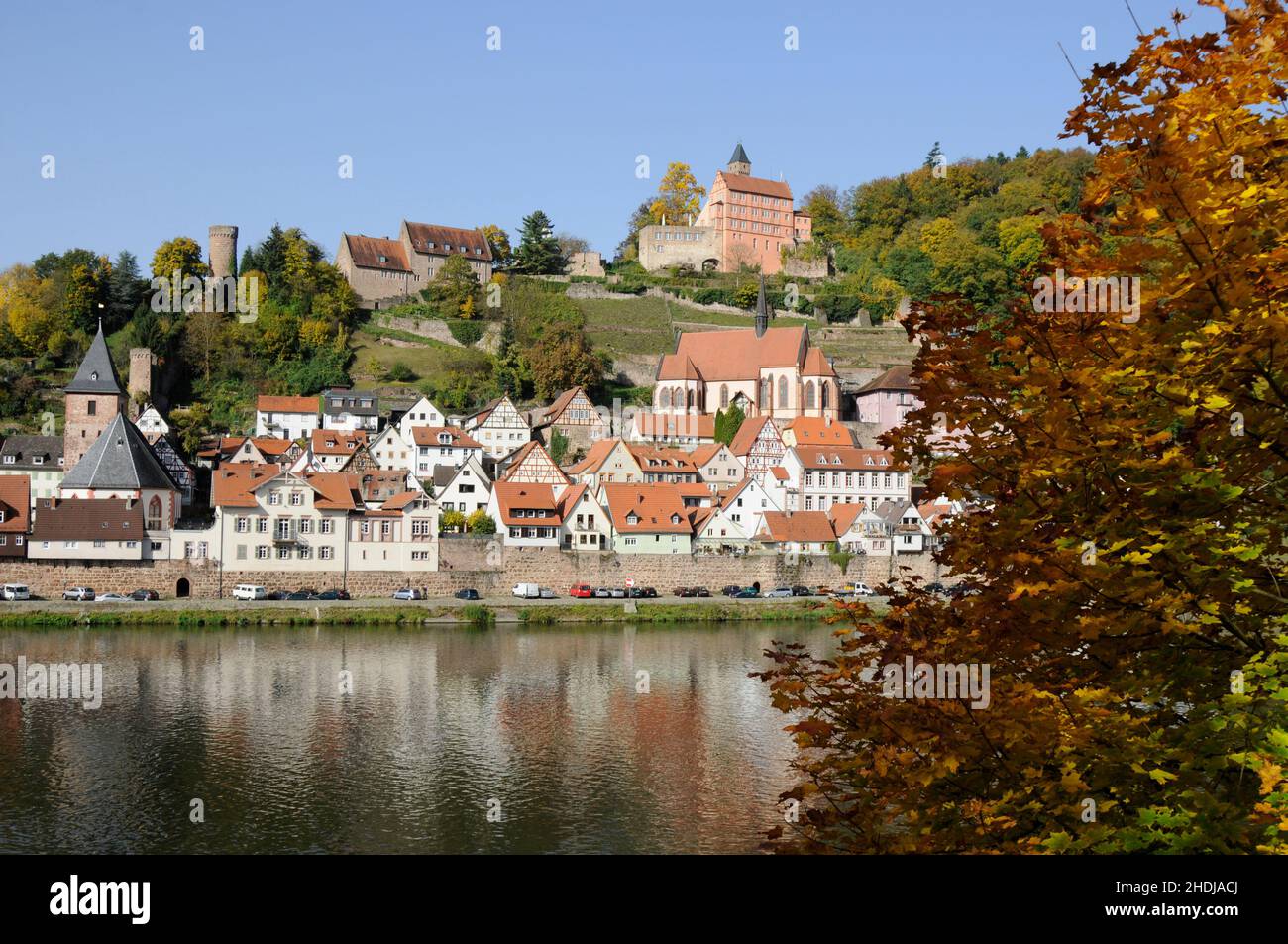 Hirschhorn in neckar valley hi-res stock photography and images - Alamy
