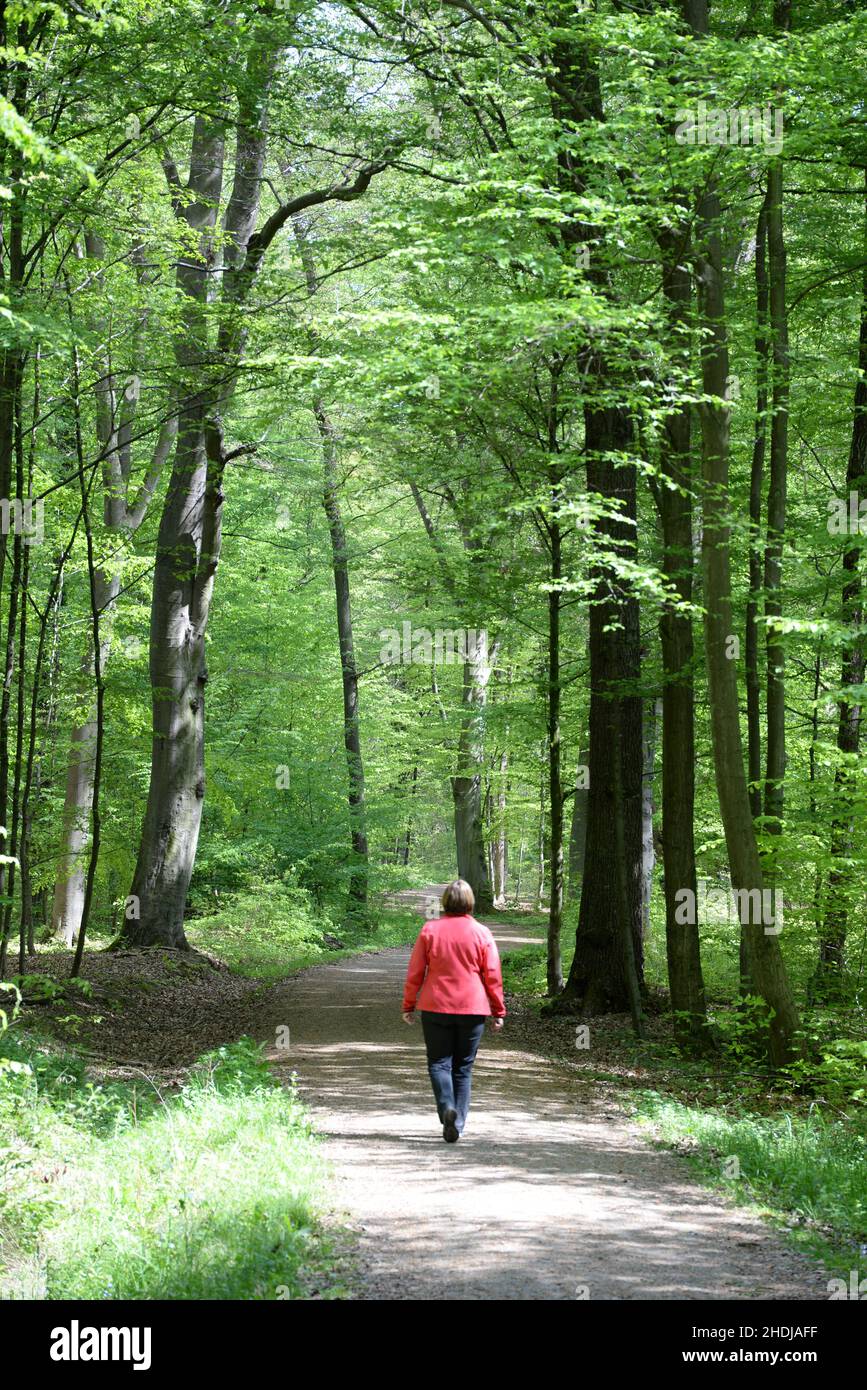 Vertical view one paths hi-res stock photography and images - Alamy