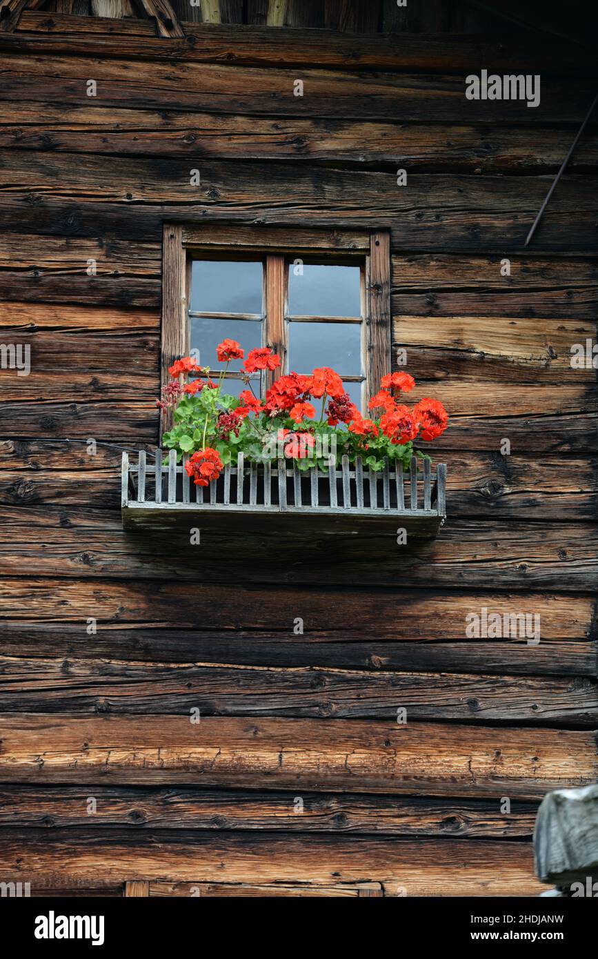window, mountain lodge, rustic, windows, mountain lodges, rustics Stock ...