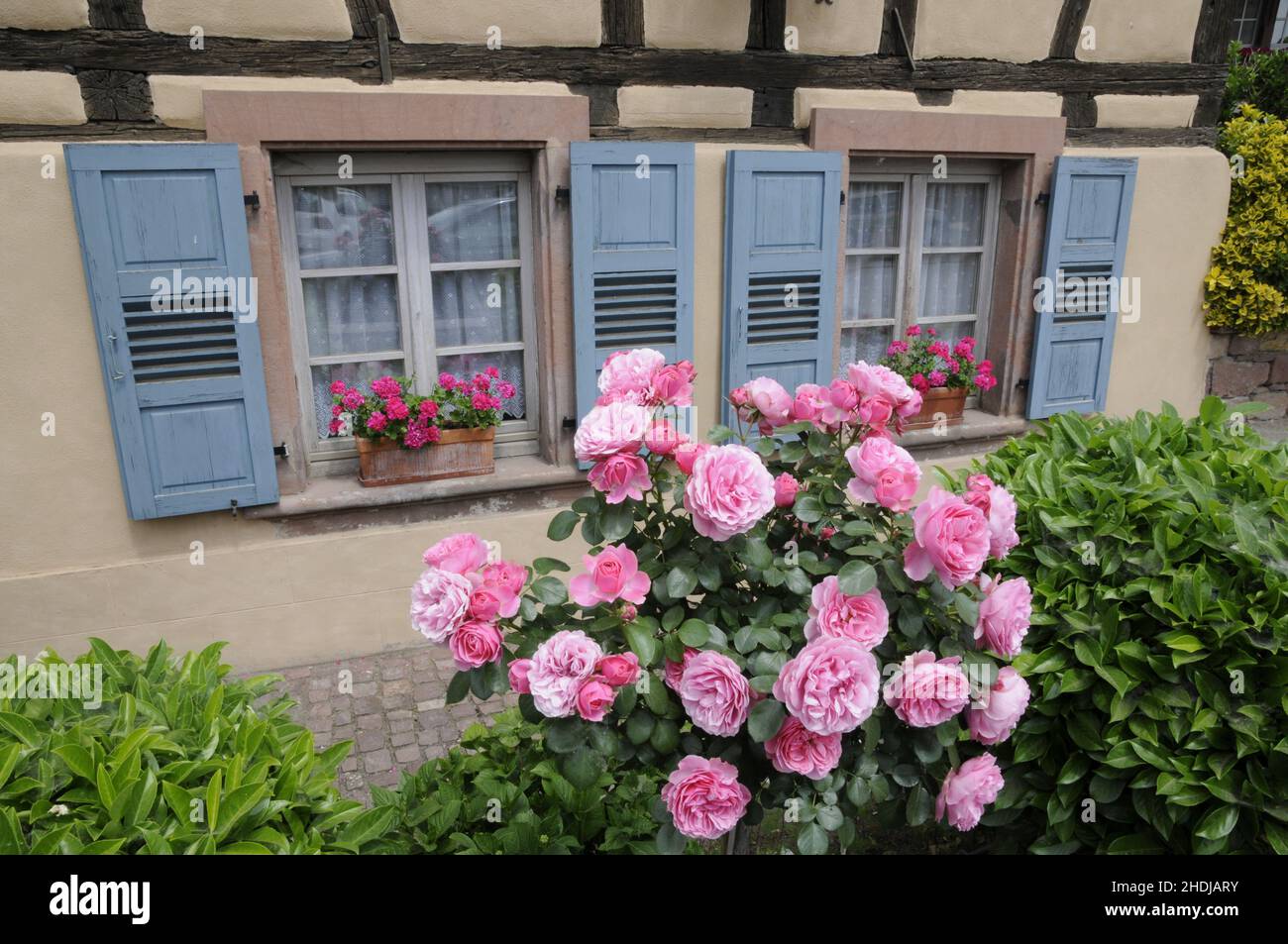 window, rural scene, window shutter, windows, country, country life ...