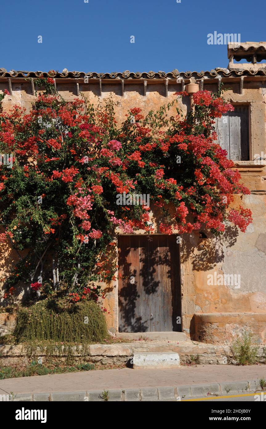 house, pictorial, majorca, houses, pictorials, majorcas Stock Photo - Alamy