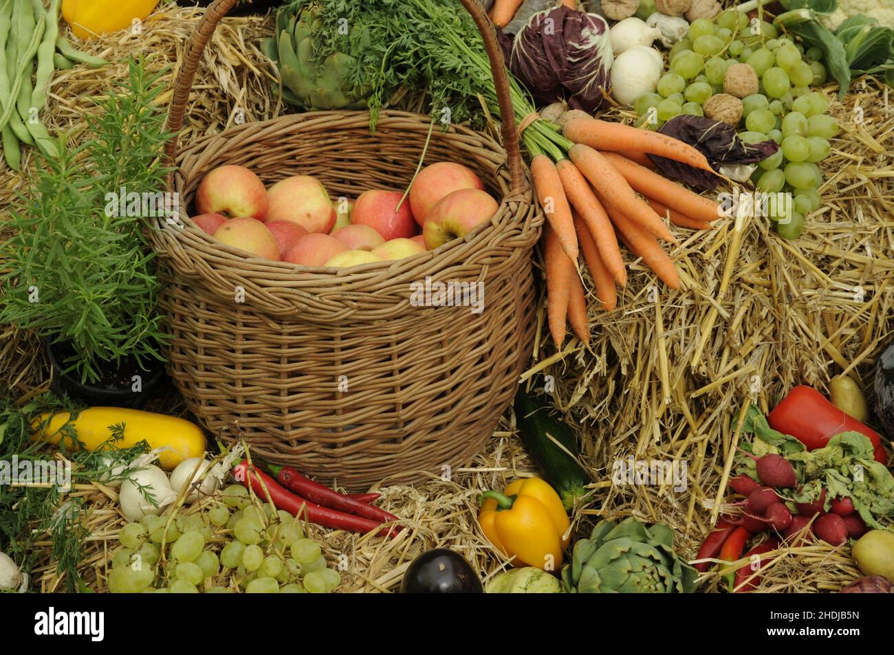 fruit, vegetable, farm shop, fruits, vegetables Stock Photo - Alamy