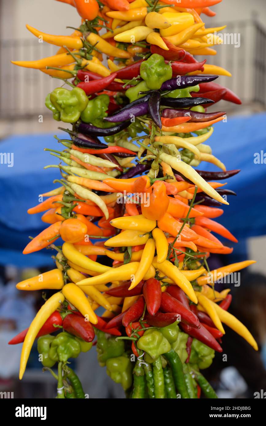 chili, pepperoni, varieties, pepperonis, variety Stock Photo - Alamy