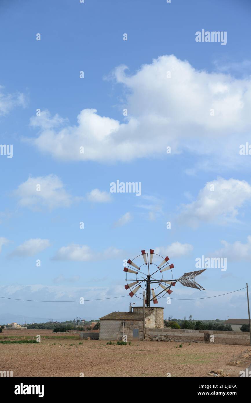 pinwheel, majorca, muro, sa pobla, pinwheels, majorcas, muros Stock ...