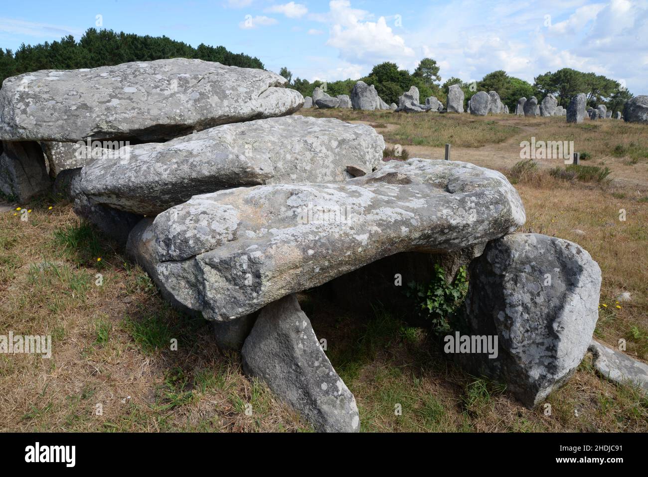 carnac, dolmen, megalith, carnacs, dolmens, megaliths Stock Photo - Alamy