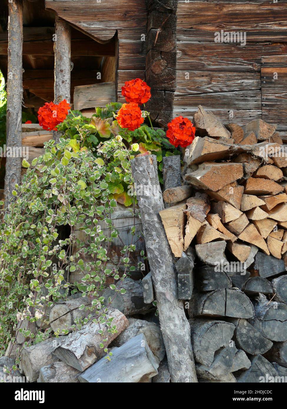 wood pile, flower arrangement, wood piles, flower arrangements Stock ...