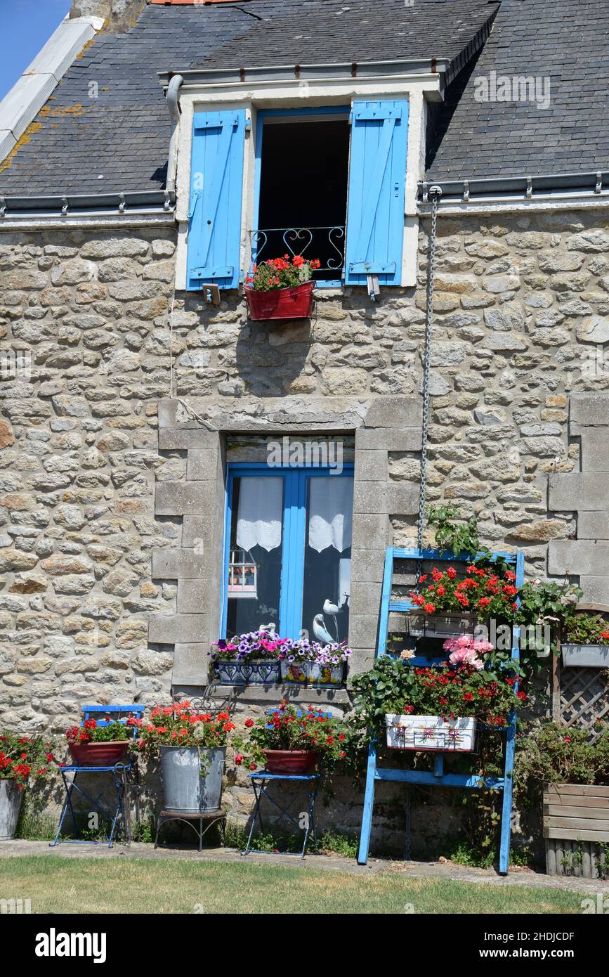 brittany, flower arrangement, brittanies, flower arrangements Stock ...