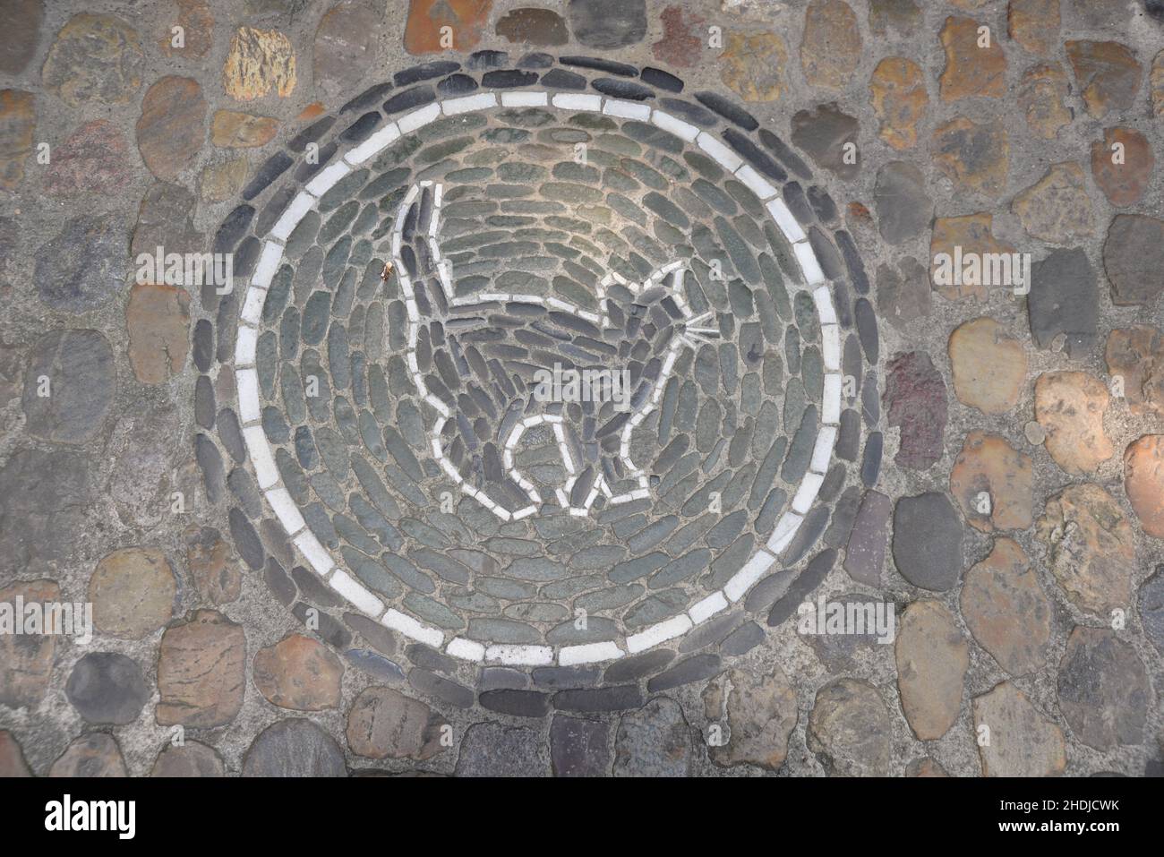 Cats mosaic hi-res stock photography and images - Alamy