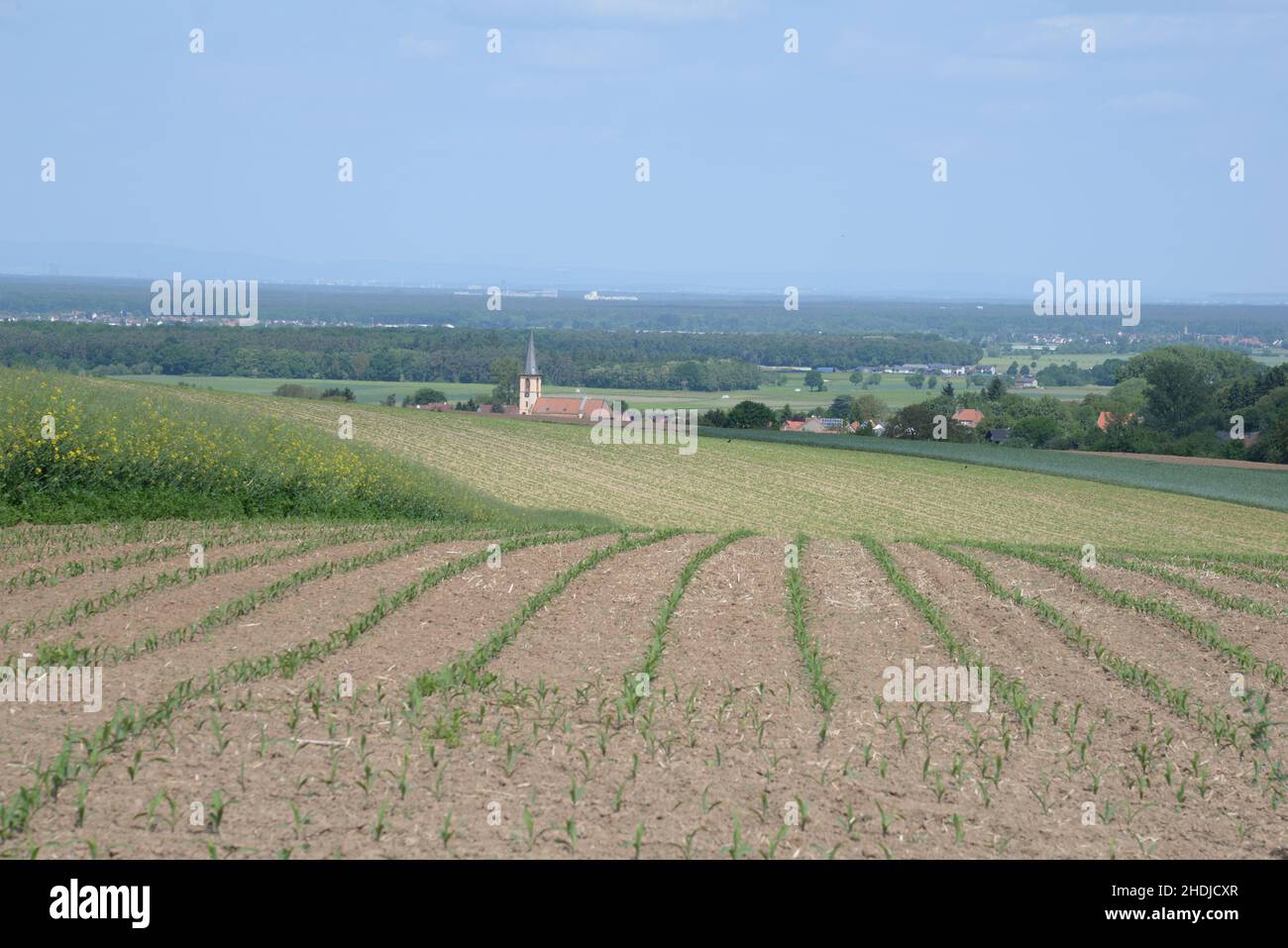 arable, agriculture, corn field, arables, agricultures, corn fields ...