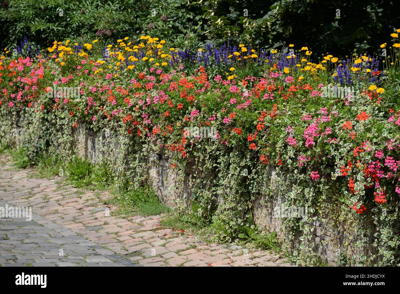 Wall arrangements hi-res stock photography and images - Alamy
