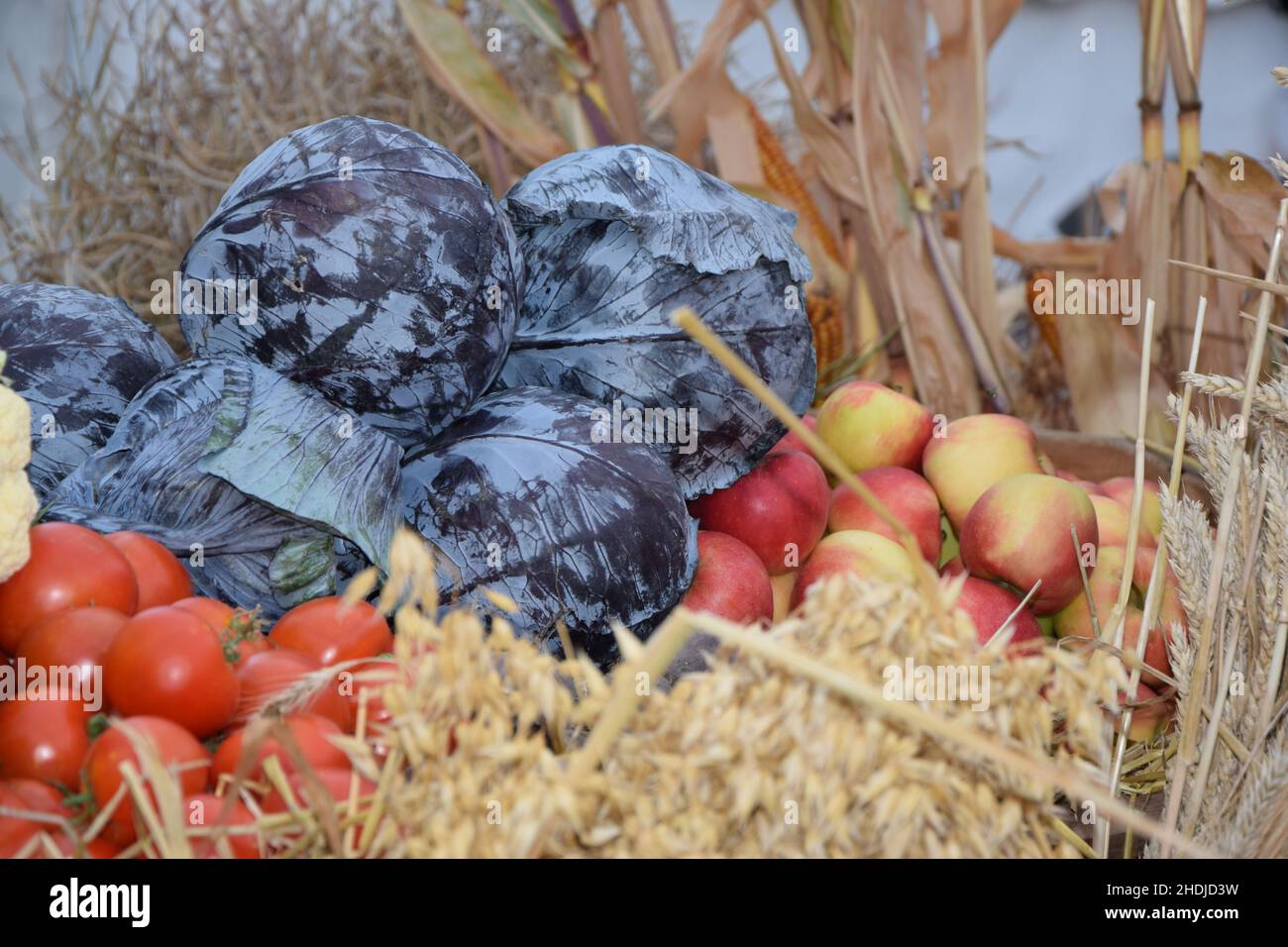 grain, fruit, vegetable, grains, fruits, vegetables Stock Photo - Alamy
