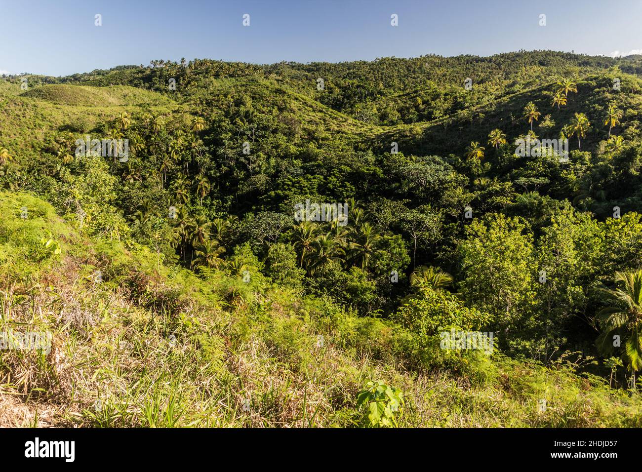 Landscape of Samana peninsula, Dominican Republic Stock Photo - Alamy