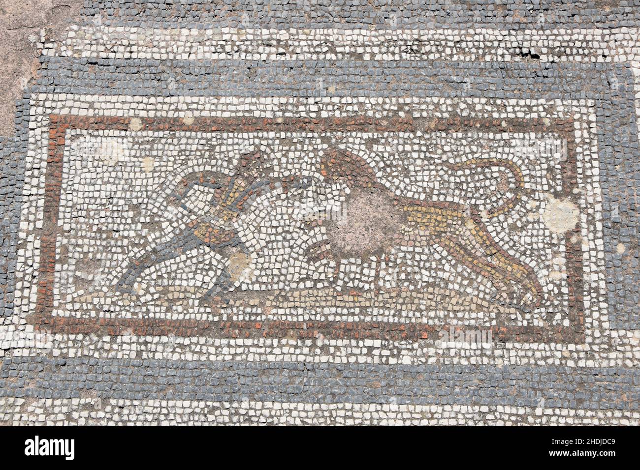 archaeology, kos, archaeologies Stock Photo - Alamy