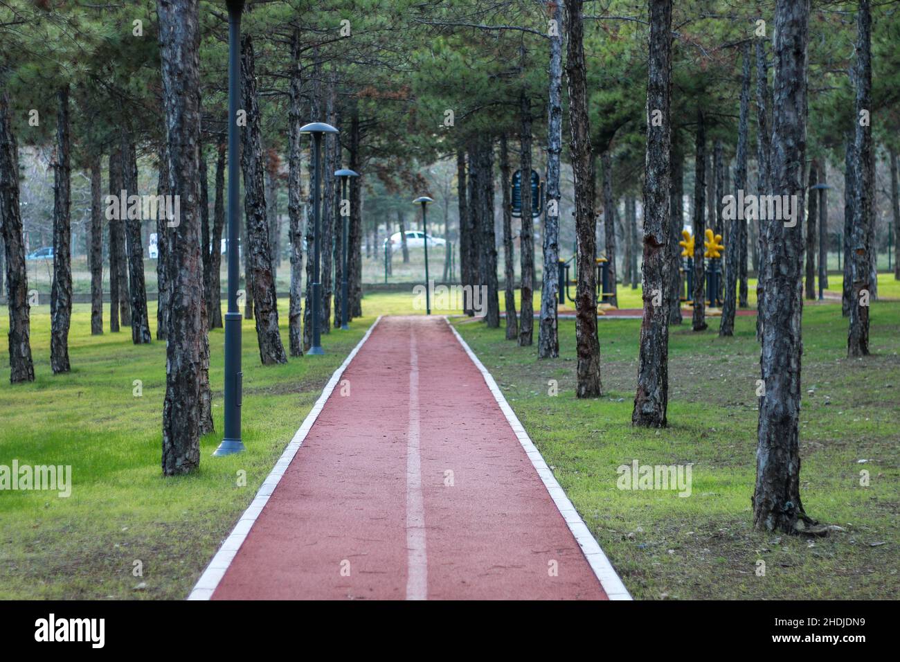 Running track, running track in the forest. Red treadmill in the nature ...
