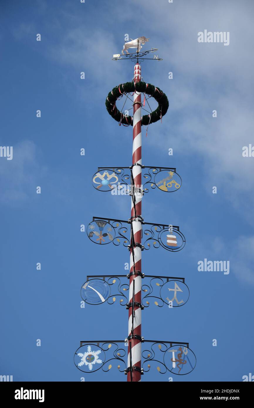 Zunft tree hi-res stock photography and images - Alamy