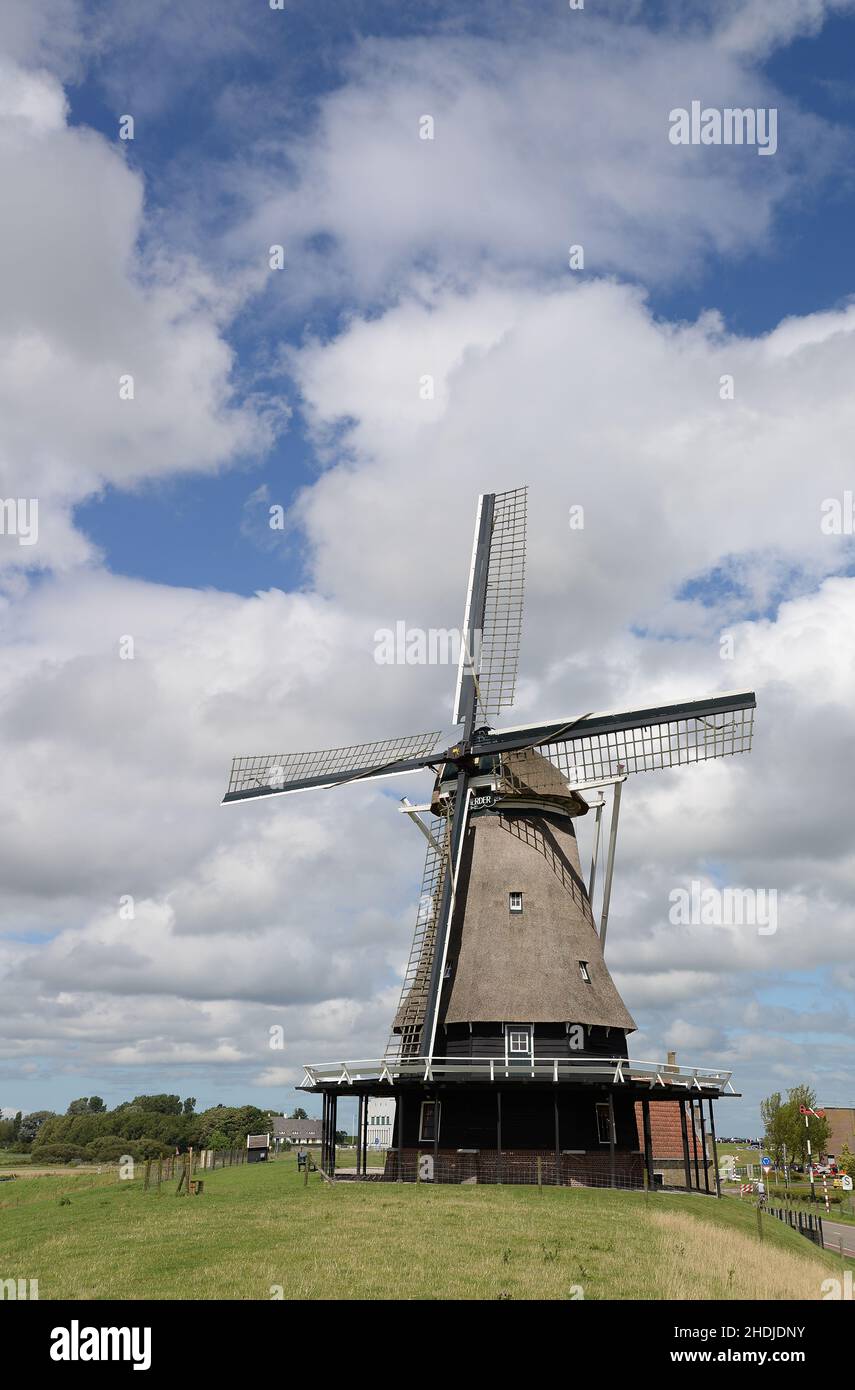 Herder hi-res stock photography and images - Alamy