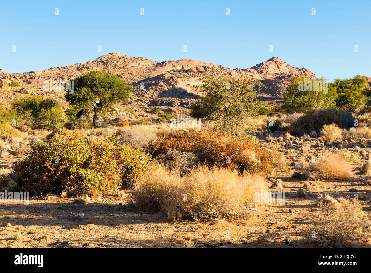 namibia, huib-plateau, namibias Stock Photo - Alamy