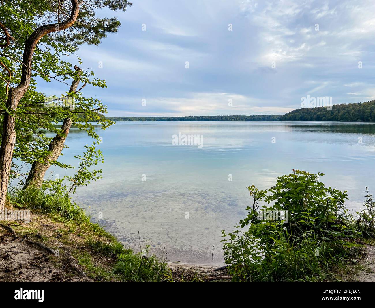 Stechlin see hi-res stock photography and images - Alamy