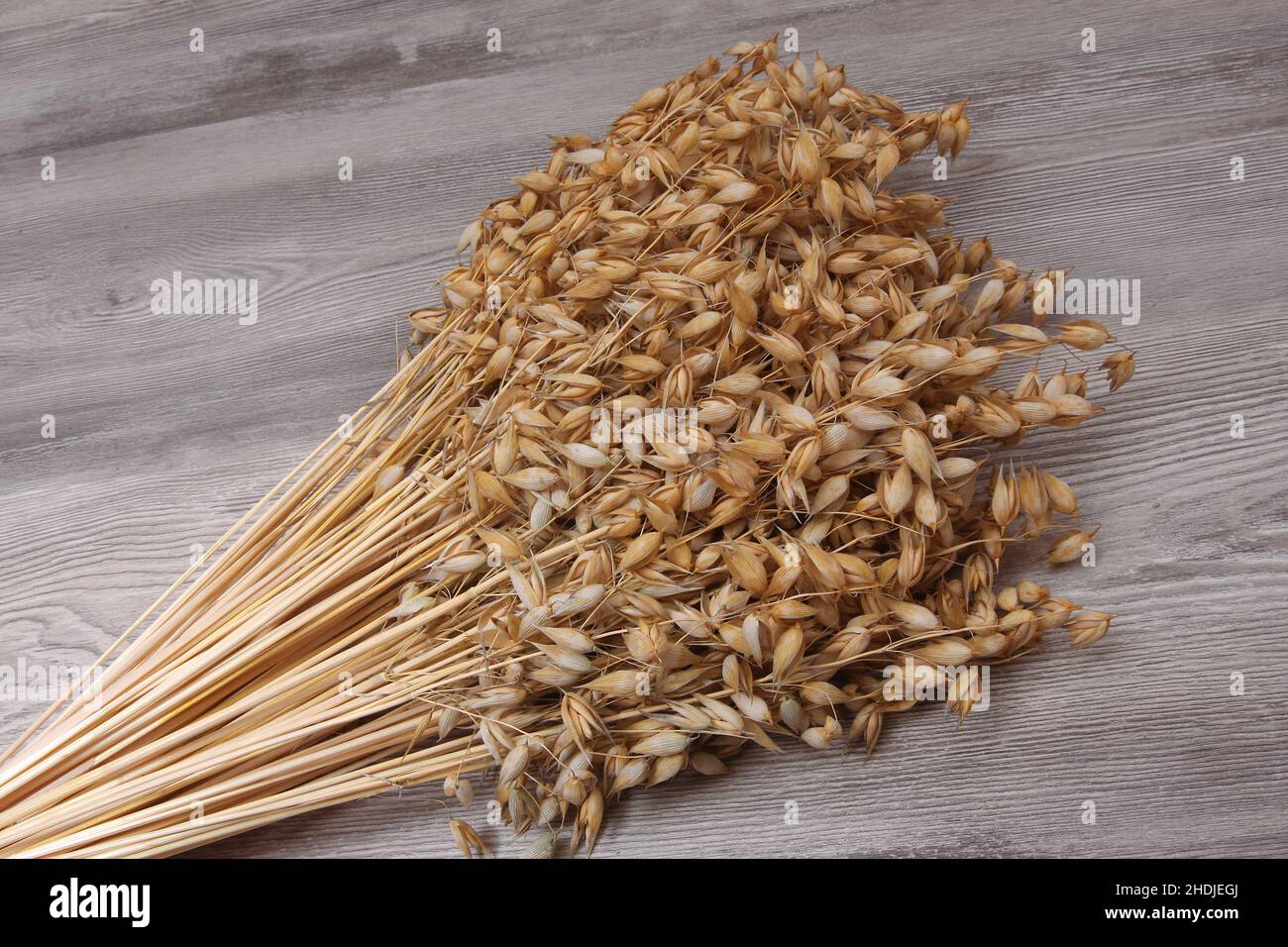 oat, grain, oats, grains Stock Photo - Alamy