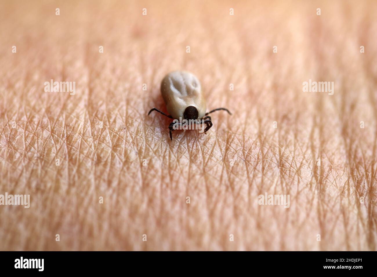 Part 20 vector vectors hi-res stock photography and images - Alamy