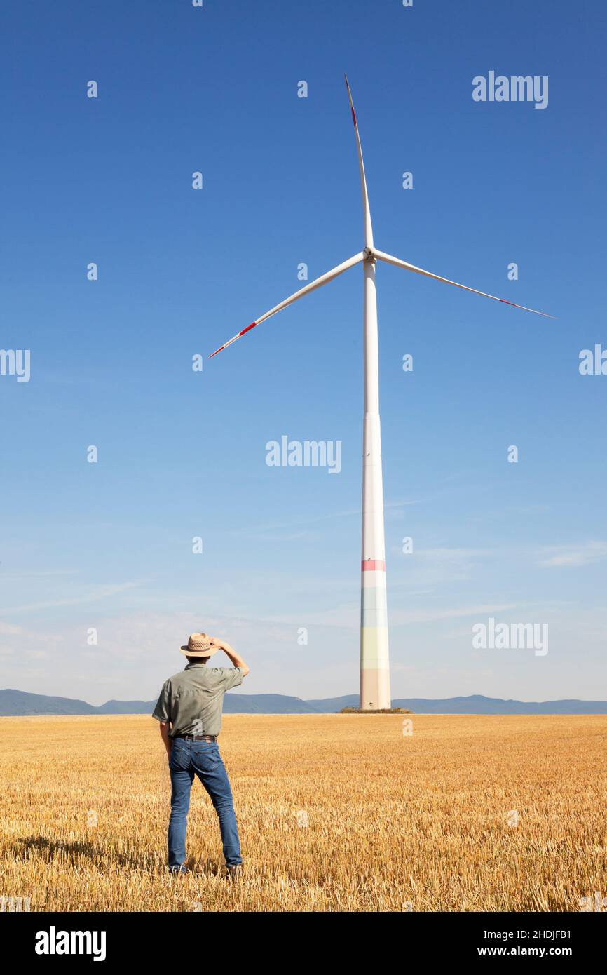 pinwheel, wheat field, farmer, pinwheels, wheat fields, farmers Stock ...