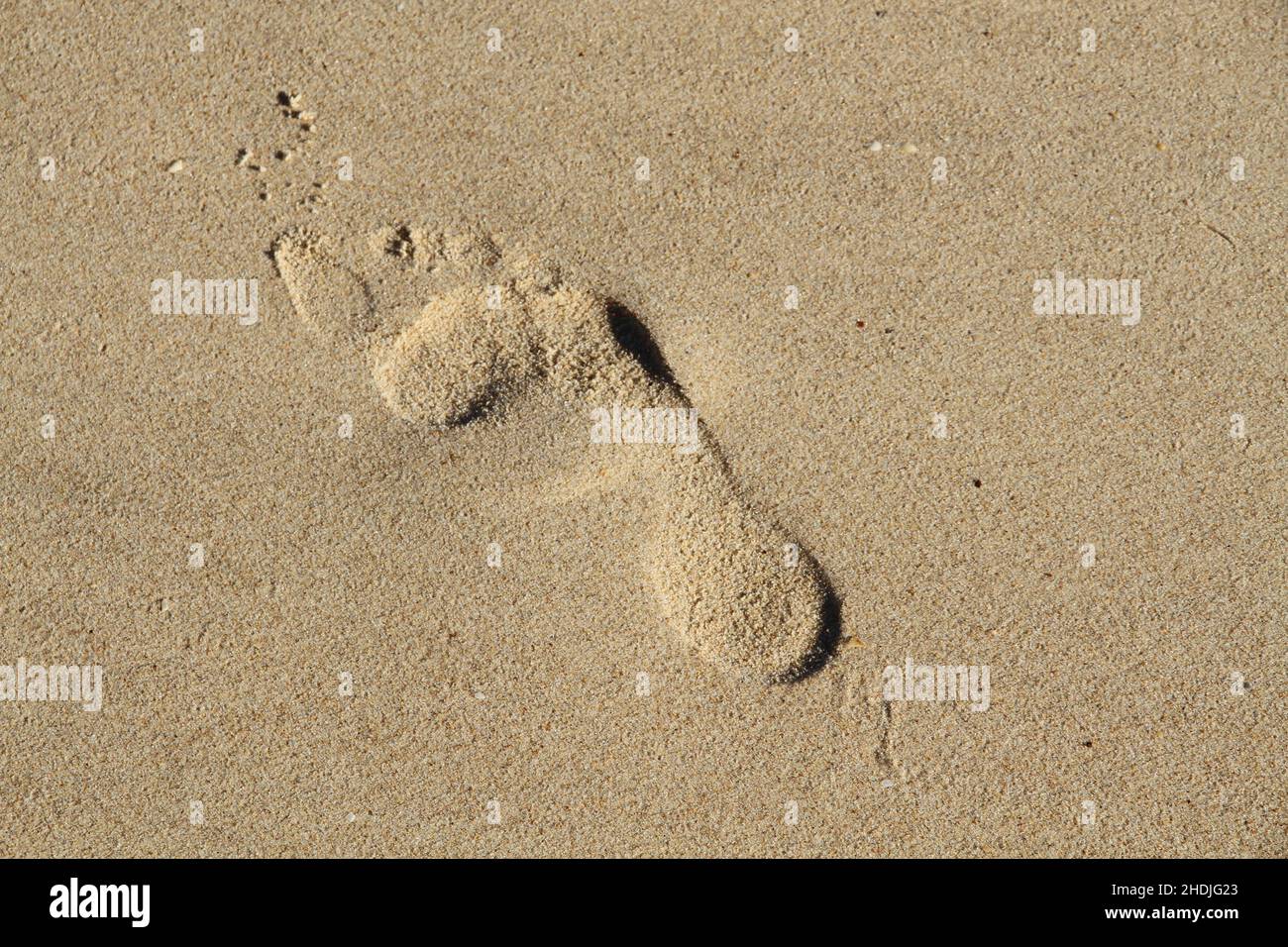 Natures footprints hi-res stock photography and images - Alamy