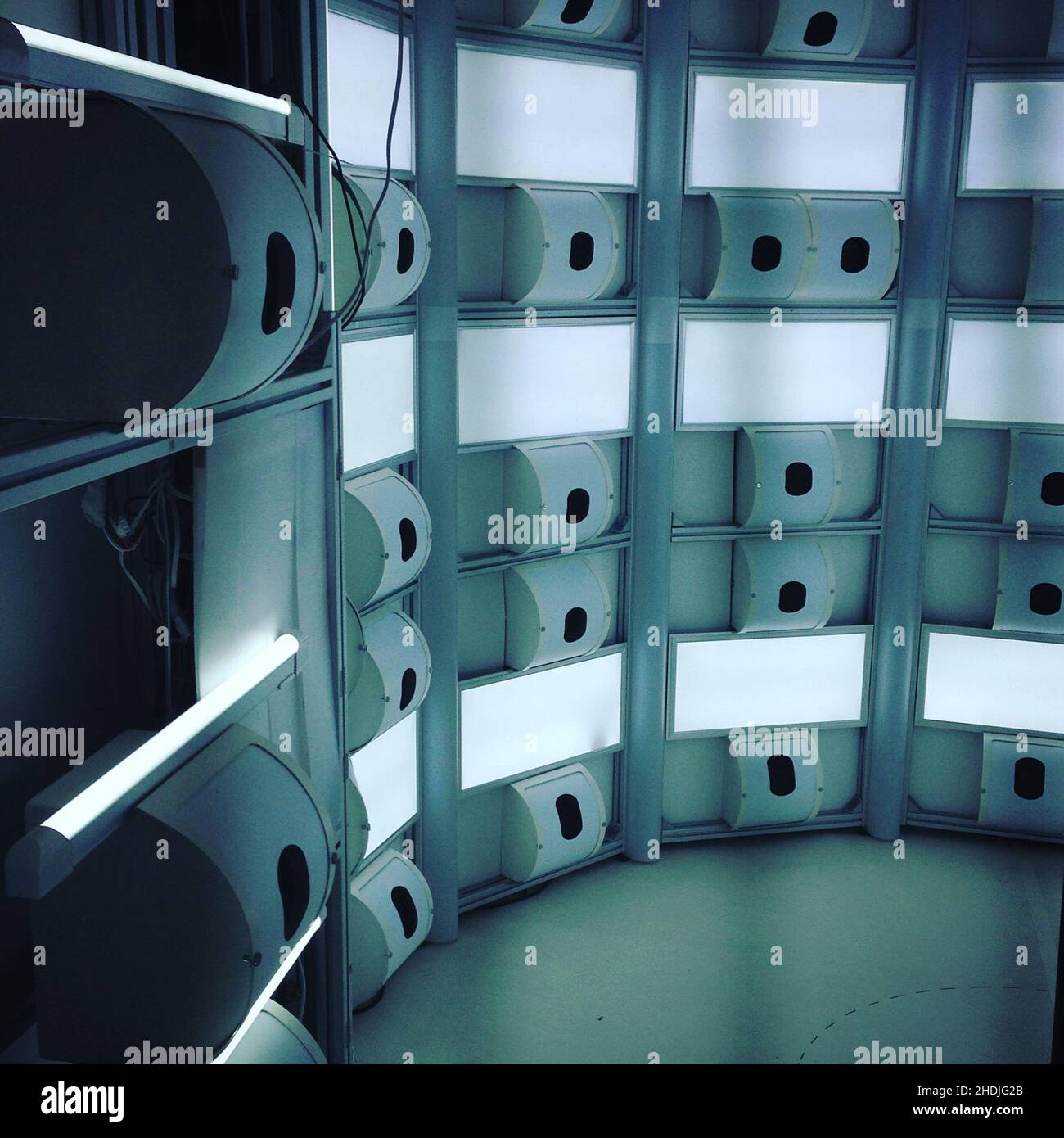 body scan, 3d body scan Stock Photo - Alamy