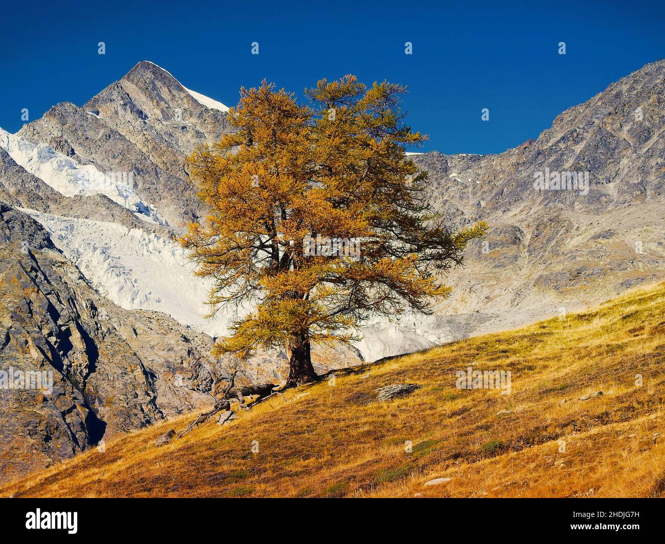 Fees must fall hi-res stock photography and images - Alamy