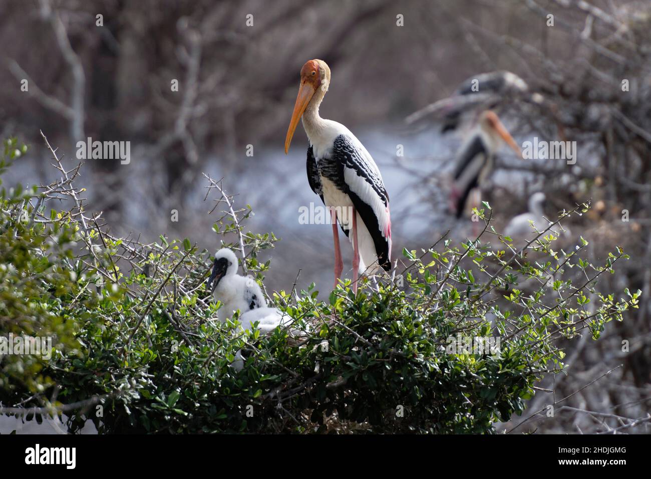 Painted family group hi-res stock photography and images - Alamy