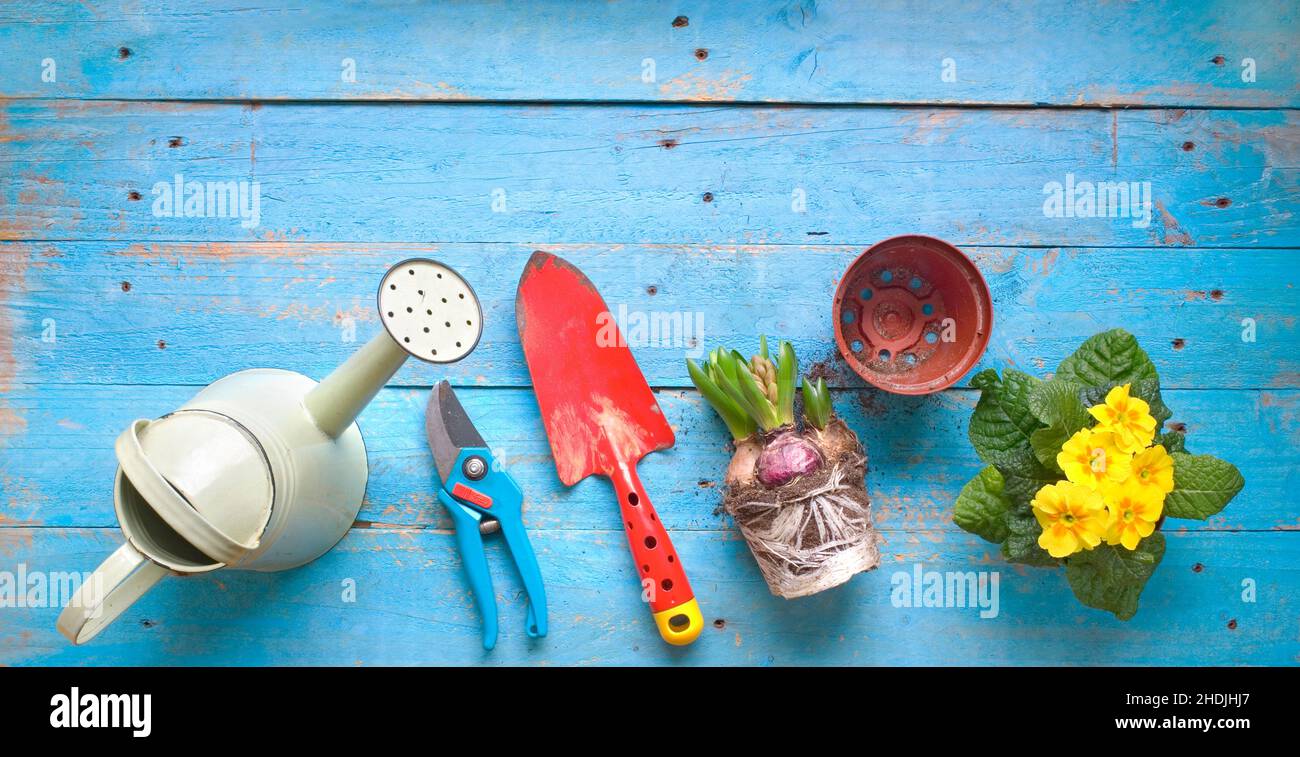 gardening, garden tool, repot, plant care, tending of plants, garden ...