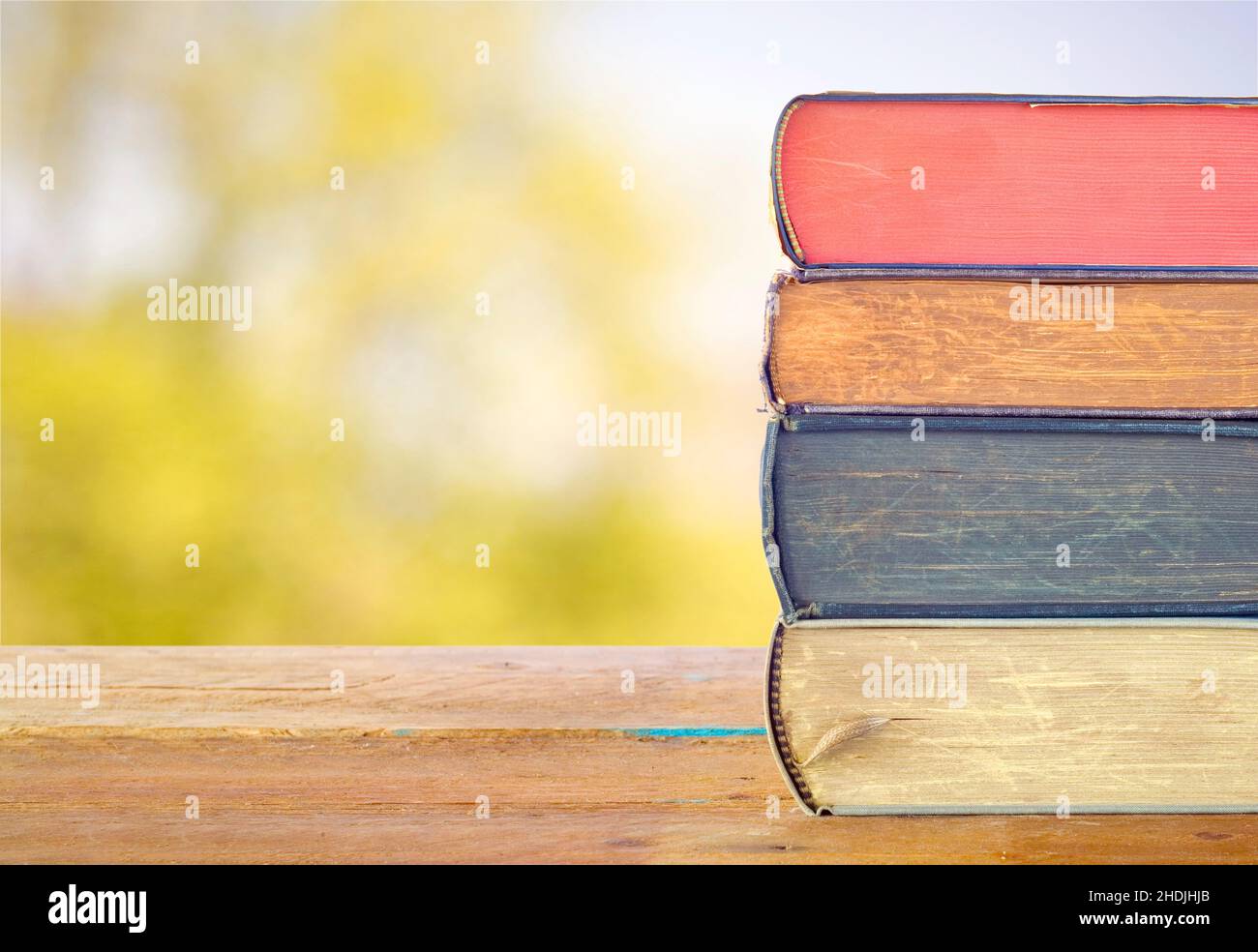 Book the books hi-res stock photography and images - Alamy