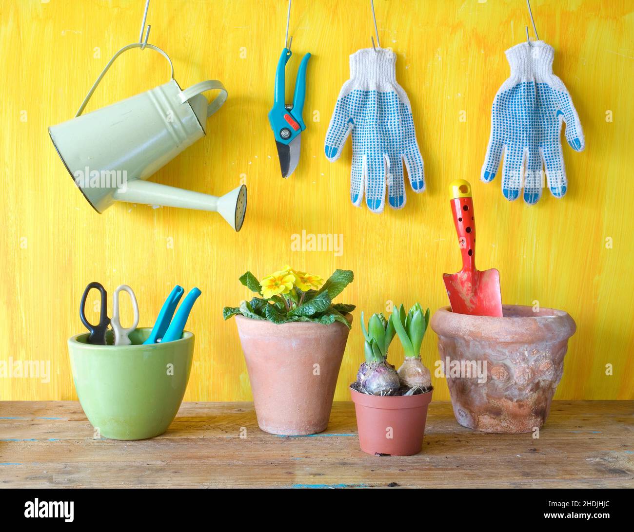 gardening, garden tool, repot, plant care, tending of plants, garden ...