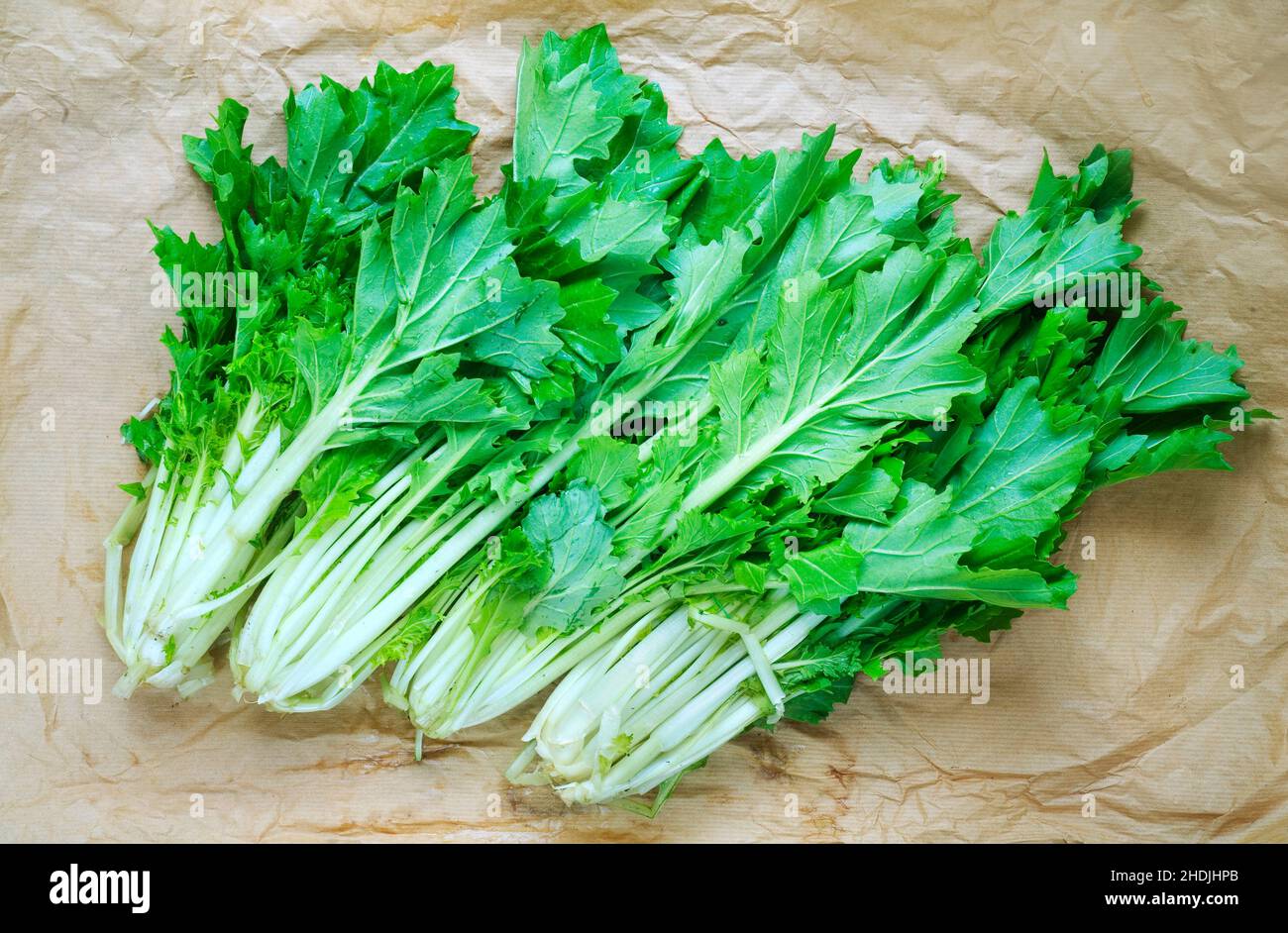 Rapinis hi-res stock photography and images - Alamy