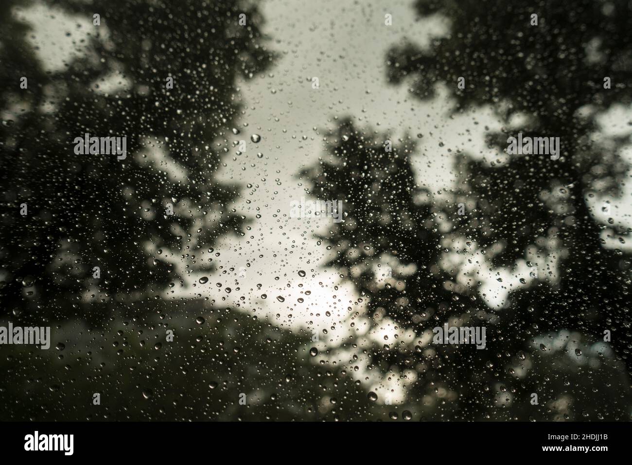 raindrop, bad weather, rain weather, raindrops, bad weathers, weather ...