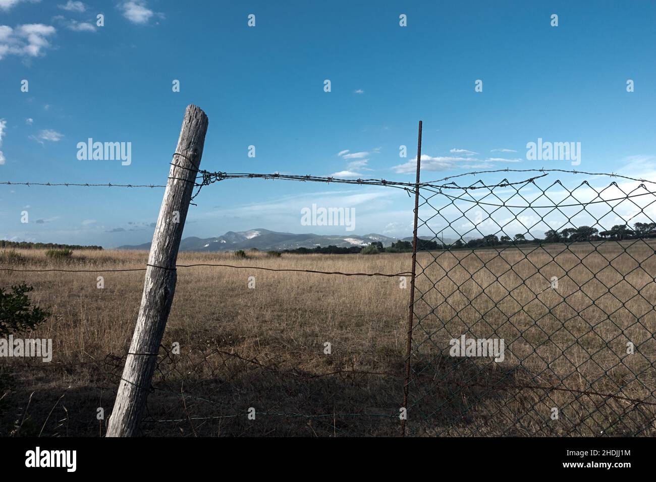 pasture, fence, wire mesh, pastures, fences, wire meshs Stock Photo - Alamy