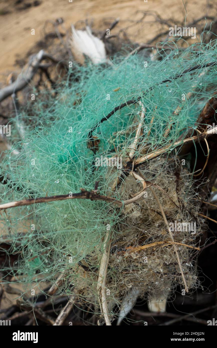 fishing net, flotsam, clutter, fishing nets, driftwood, flotsams ...