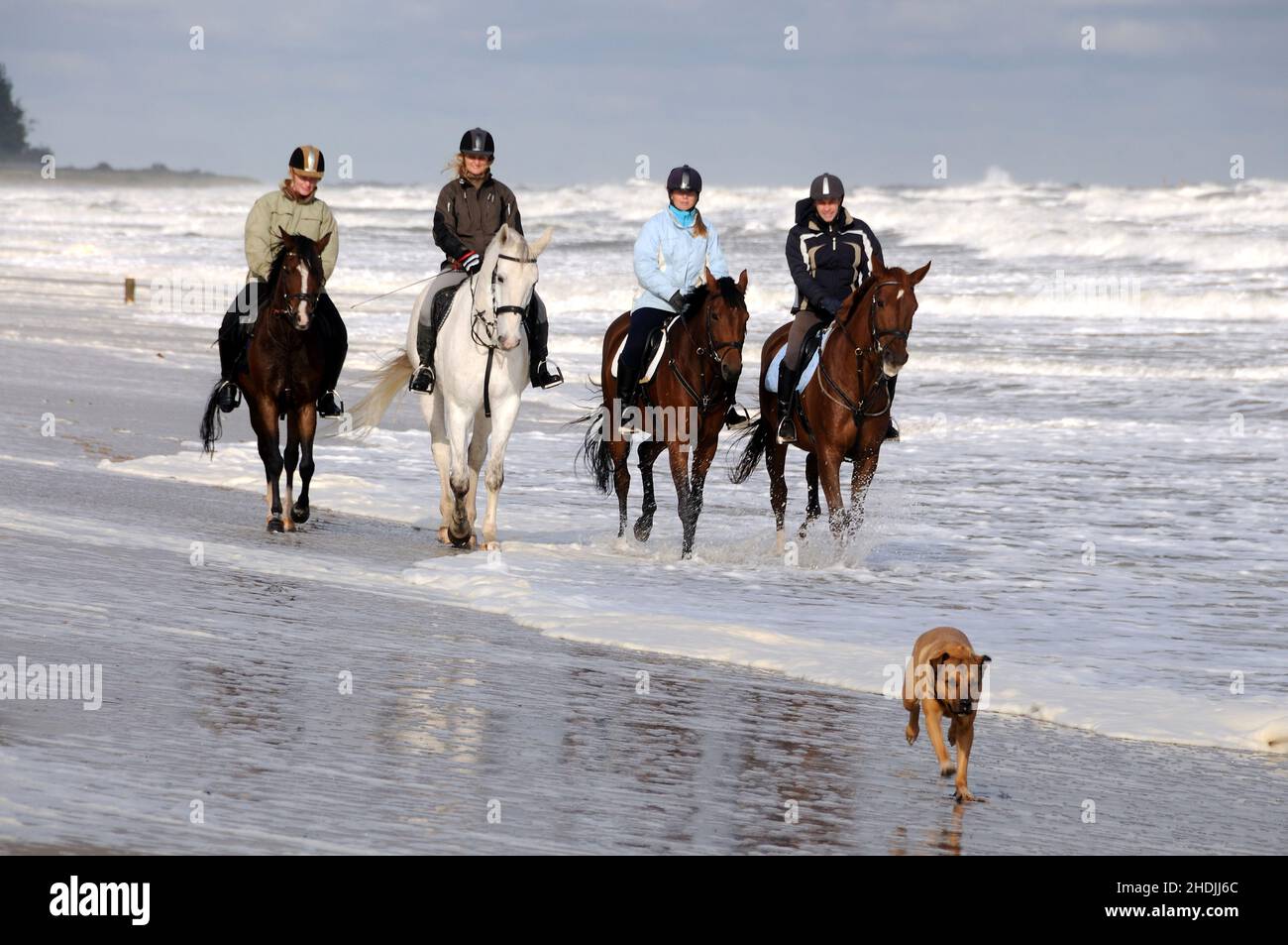 rider, beach ride, riding, riders, beach rides, ride Stock Photo - Alamy