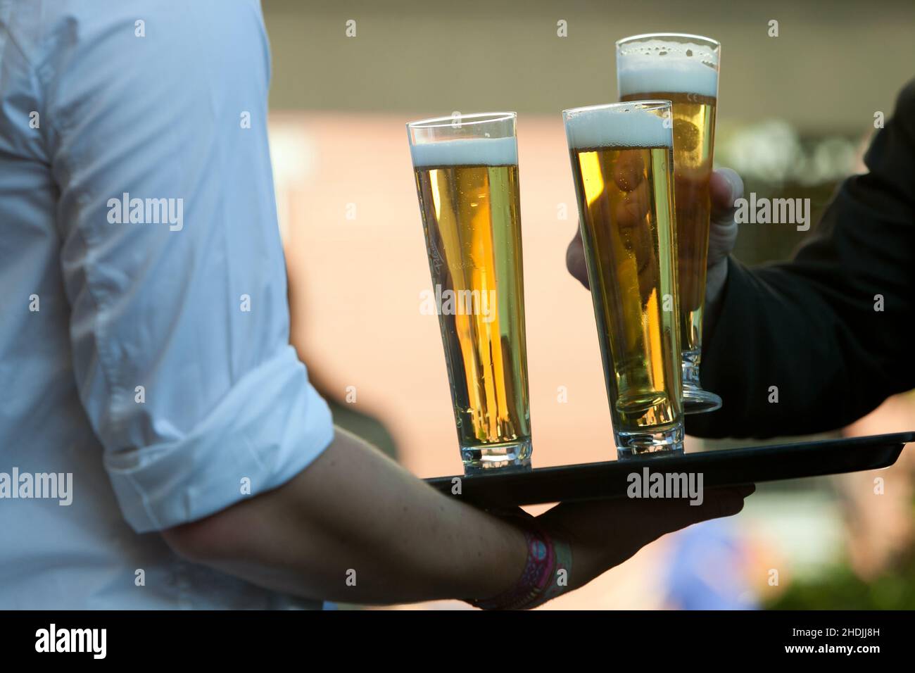 beer, celebration & party, beer glass, beers, celebration & parties ...