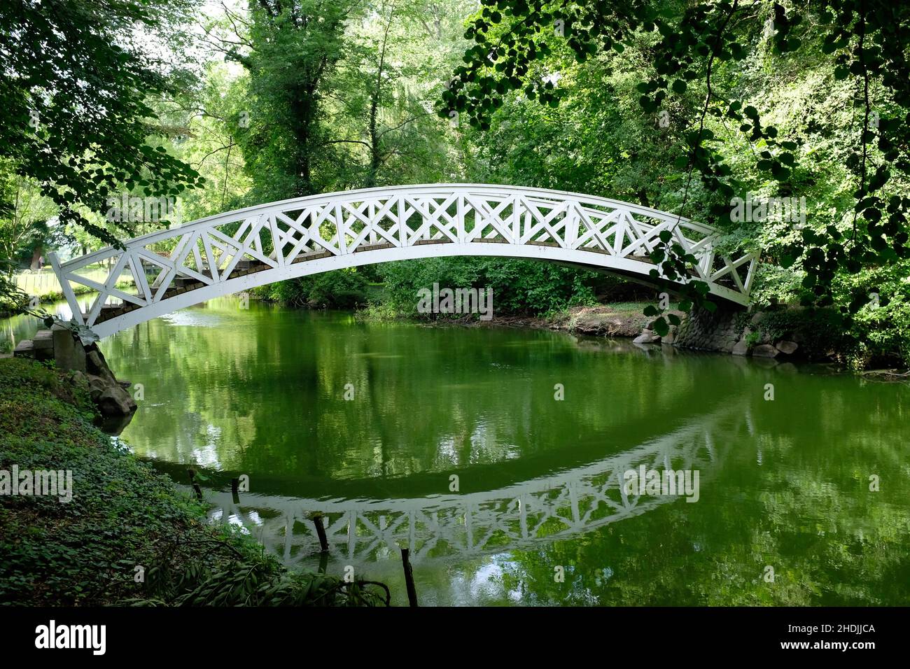park, bridge, wooden bridge, parks, bridges, wooden bridges Stock Photo ...