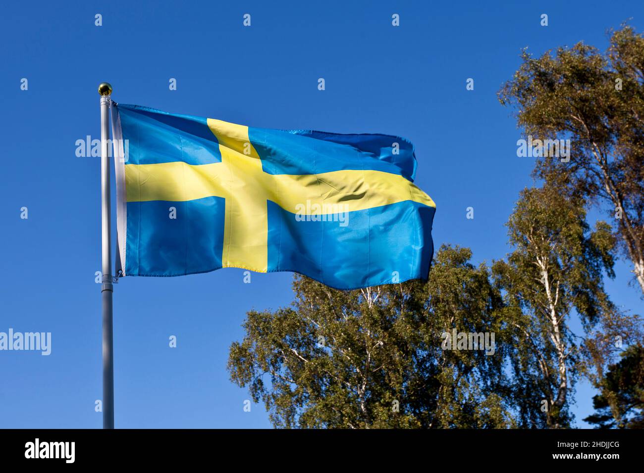 sweden, national flag, swedens, national flags Stock Photo - Alamy