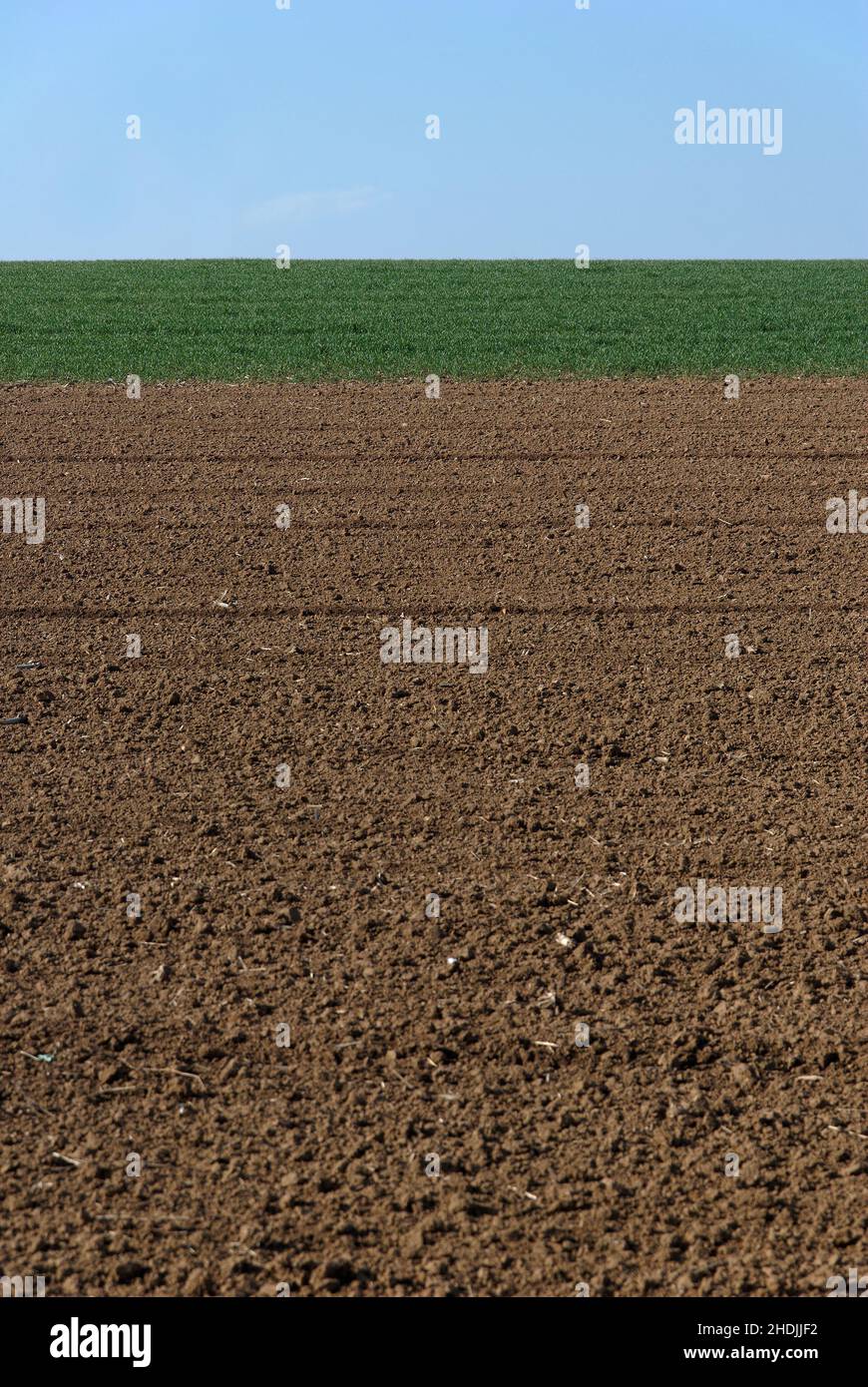 field, arable, fields, arables Stock Photo - Alamy