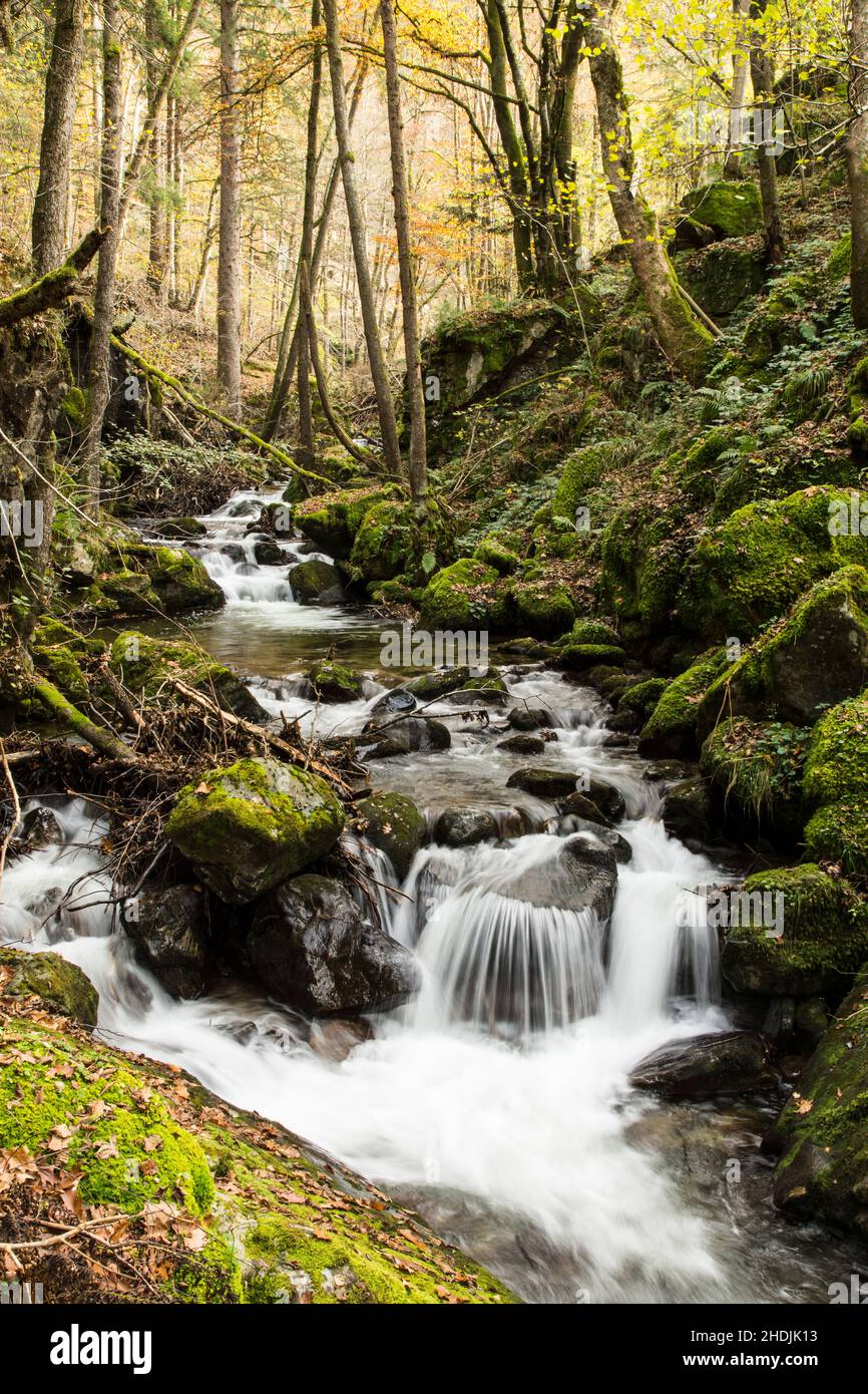 Todtnaus hi-res stock photography and images - Alamy